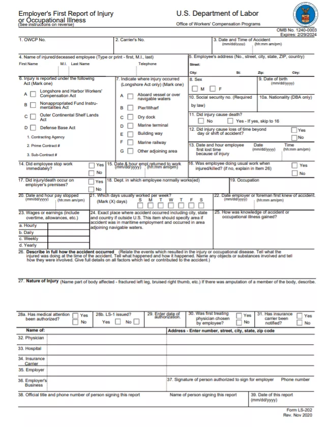 Fillable Form LS 202 (2020) | Edit, Sign & Download in PDF | PDFRun